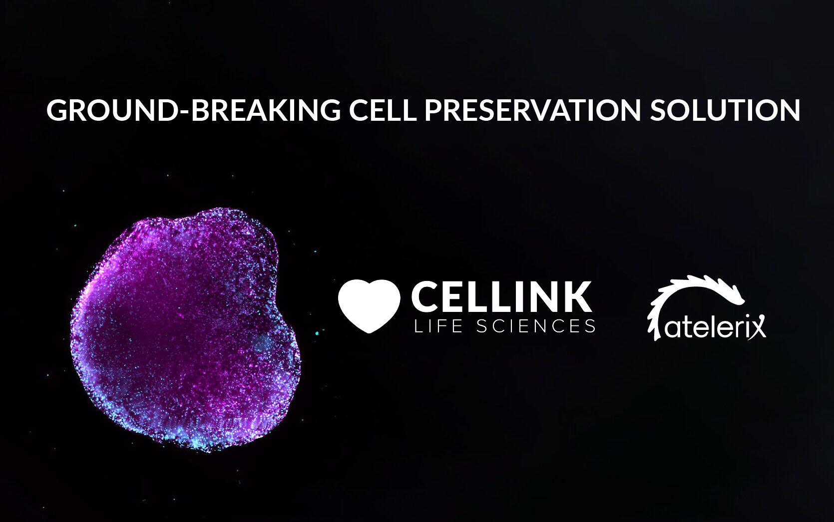 A New Paradigm in Ambient Temperature Cell Shipping - CELLINK Japan