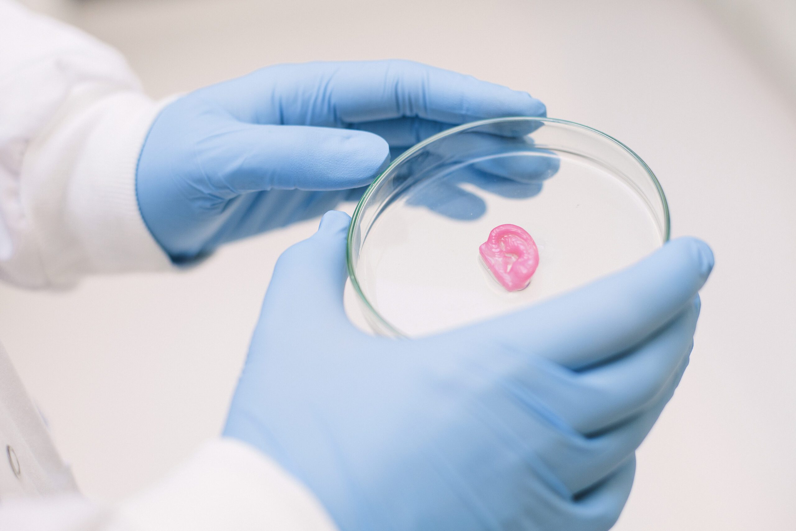 Exploring 2D vs. 3D Cell Culturing - CELLINK Japan