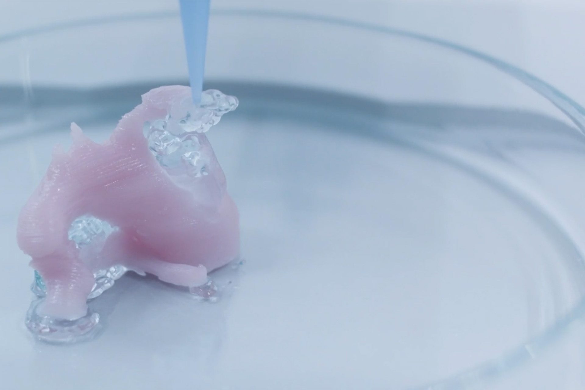 Introducción a la bioimpresión 3D (Introduction to 3D Bioprinting ...