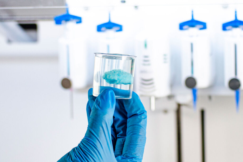 Bioprinting a Bionic Pancreas - CELLINK - Japan