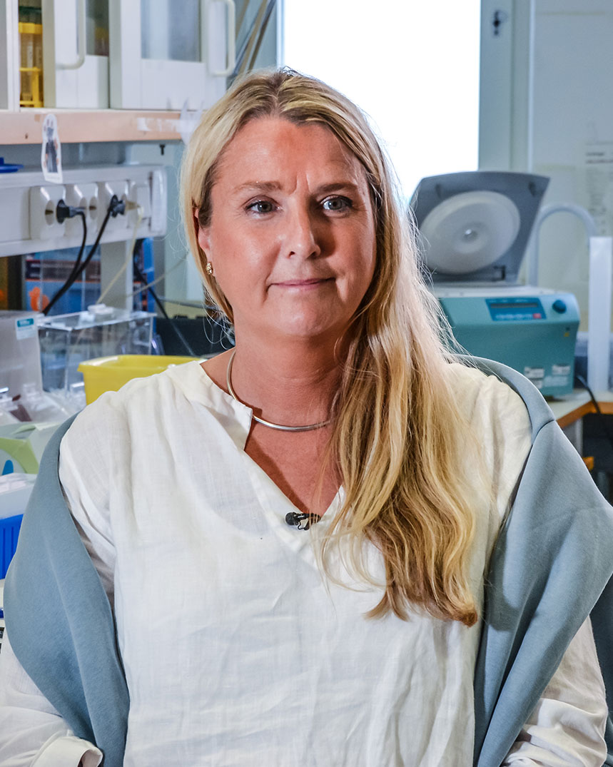 ラボから臨床へ：iPS細胞で軟骨を3Dバイオプリントし、膝関節損傷の治療法開発に成功 - CELLINK Japan