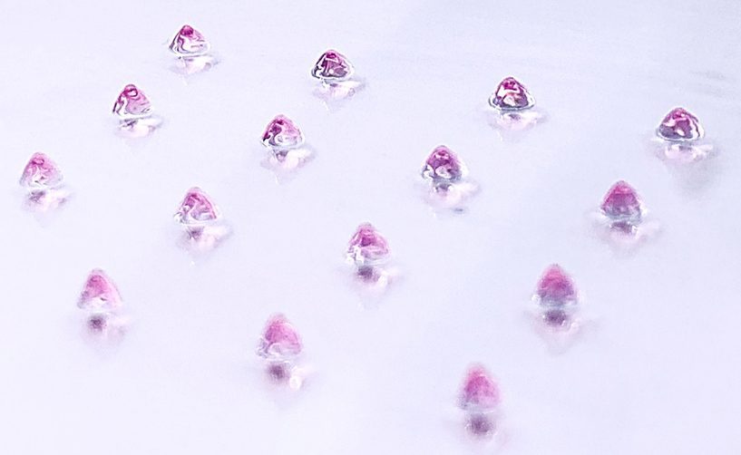 Mimicking Nature: Tissue Engineering with Collagen - CELLINK South Korea