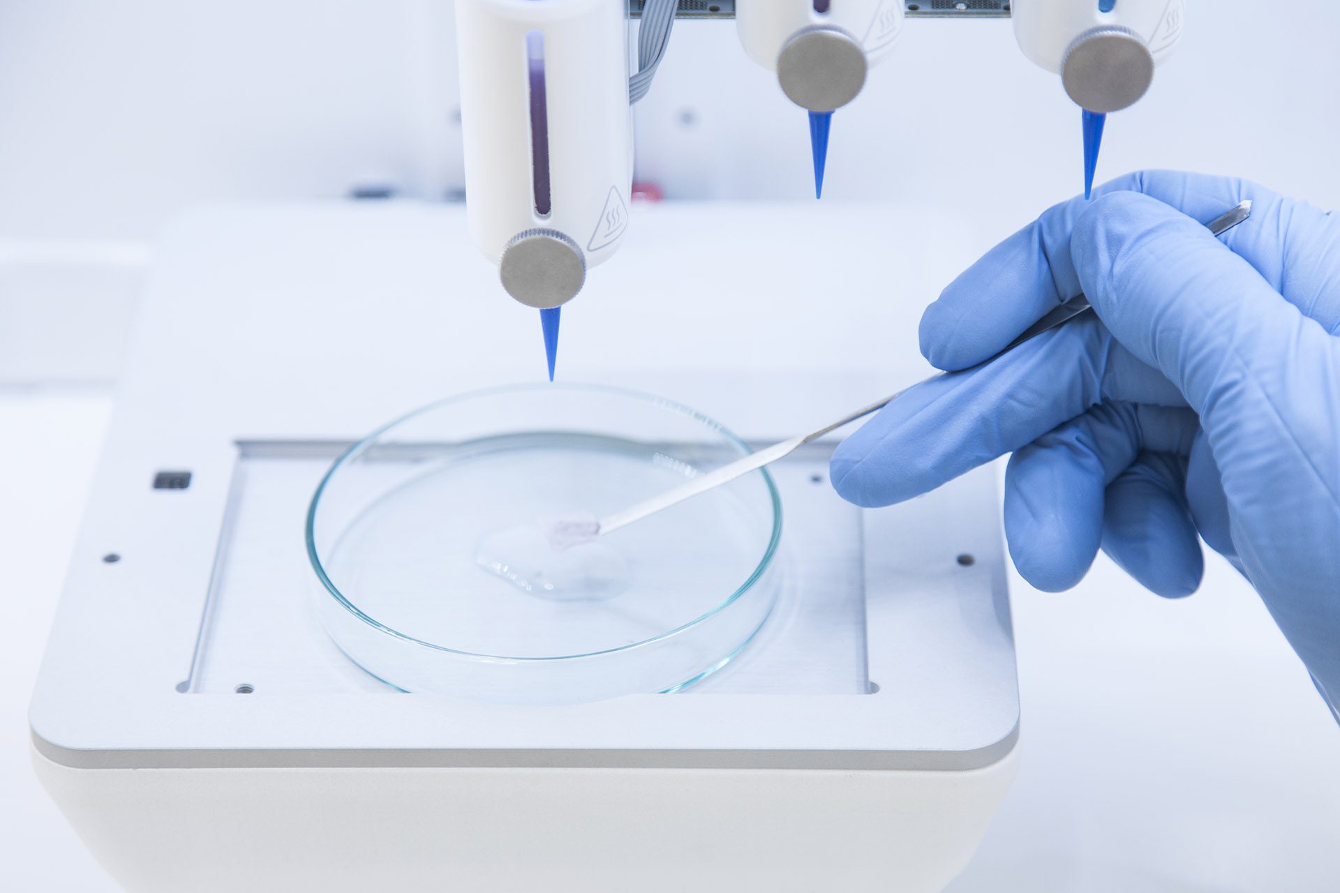 A Guide on 3D Bioprinting Skin - CELLINK South Korea