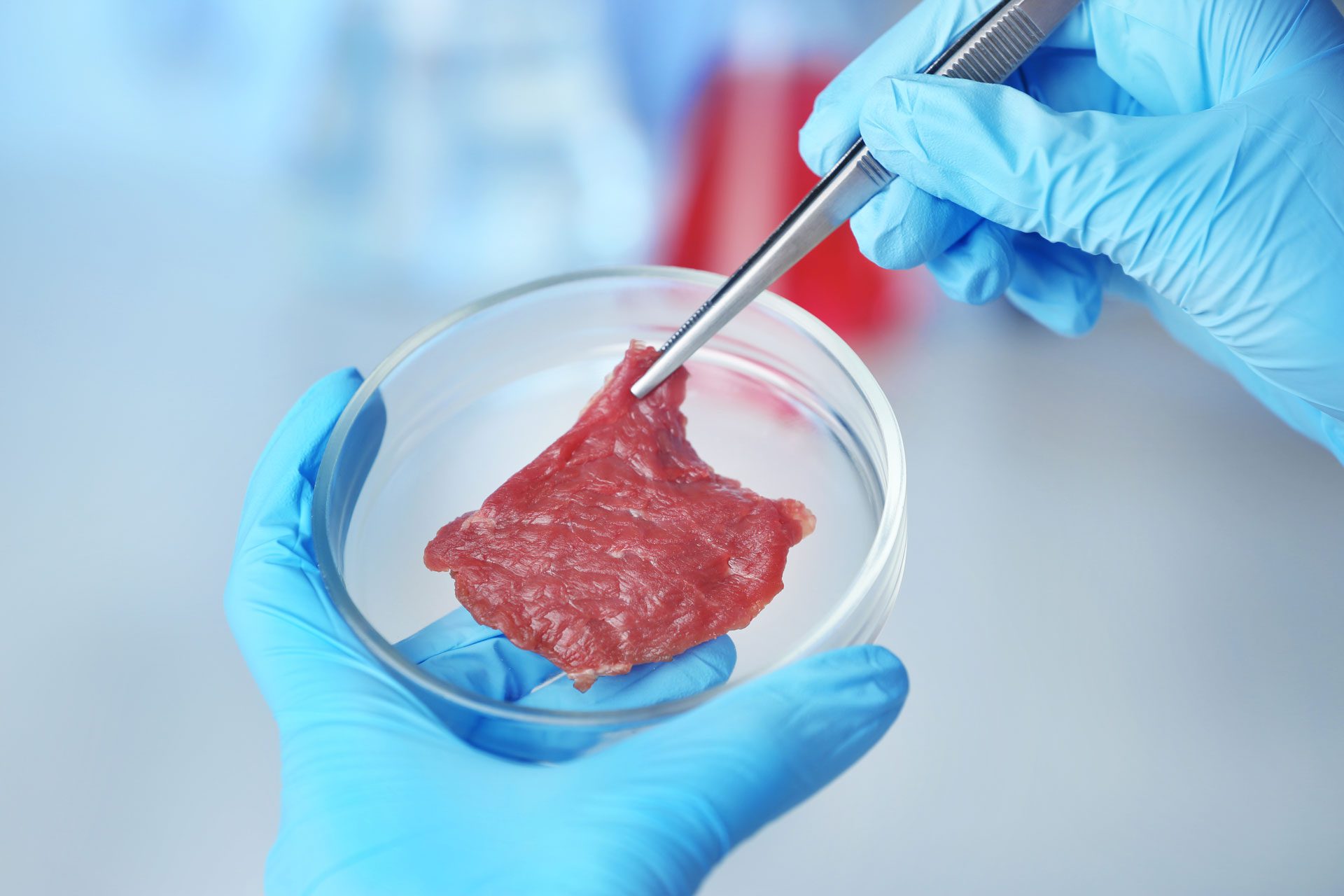 Can we print meat? 3D Bioprinting technology for cultured meat & food ...