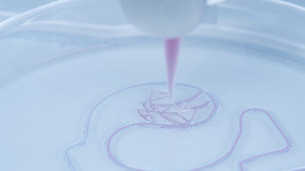 CELLINK Bioink – setting a standard in the bioprinting field - CELLINK ...