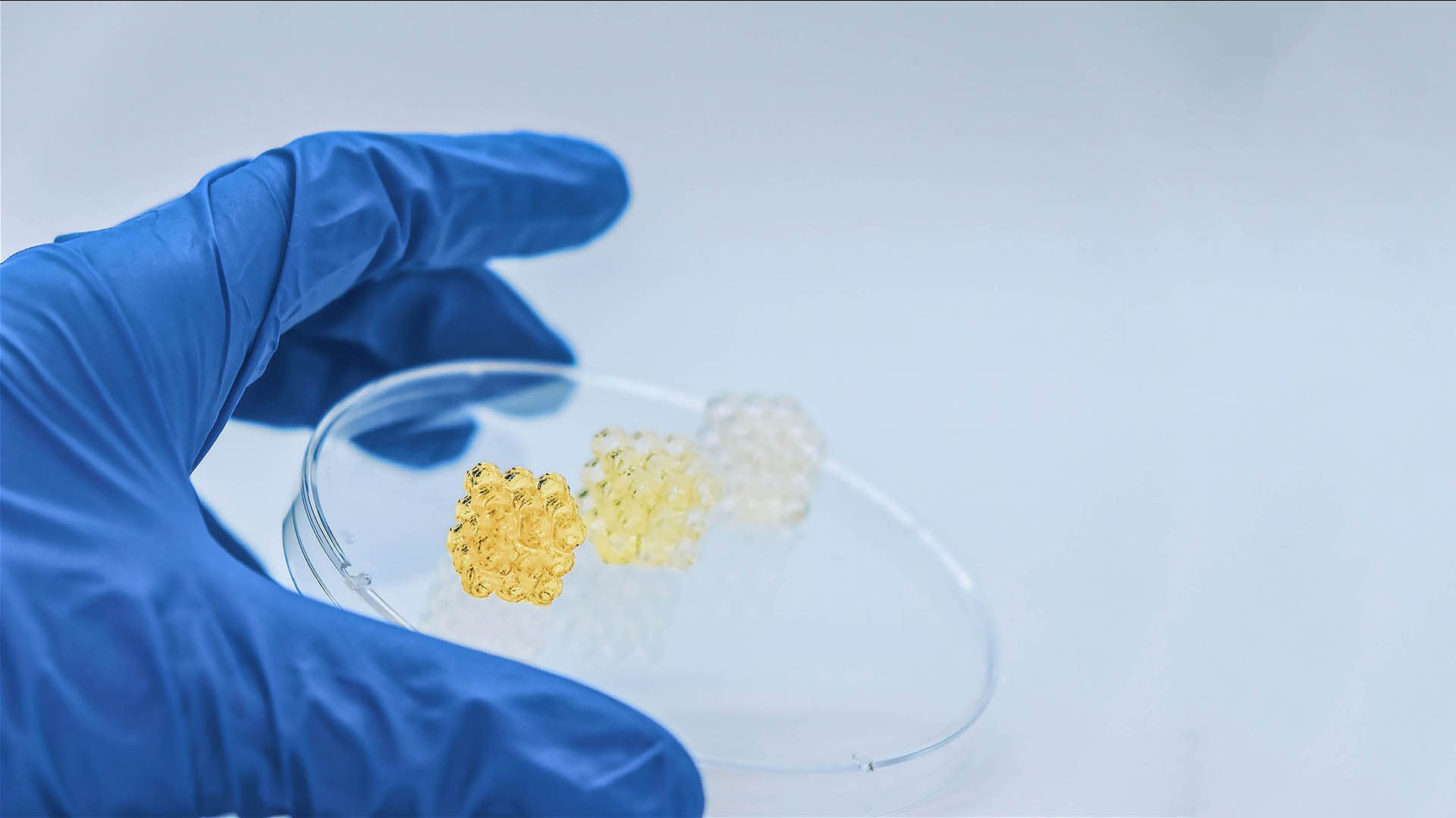 Light-Based Biofabrication and Bioassembly for Regenerative Medicine ...