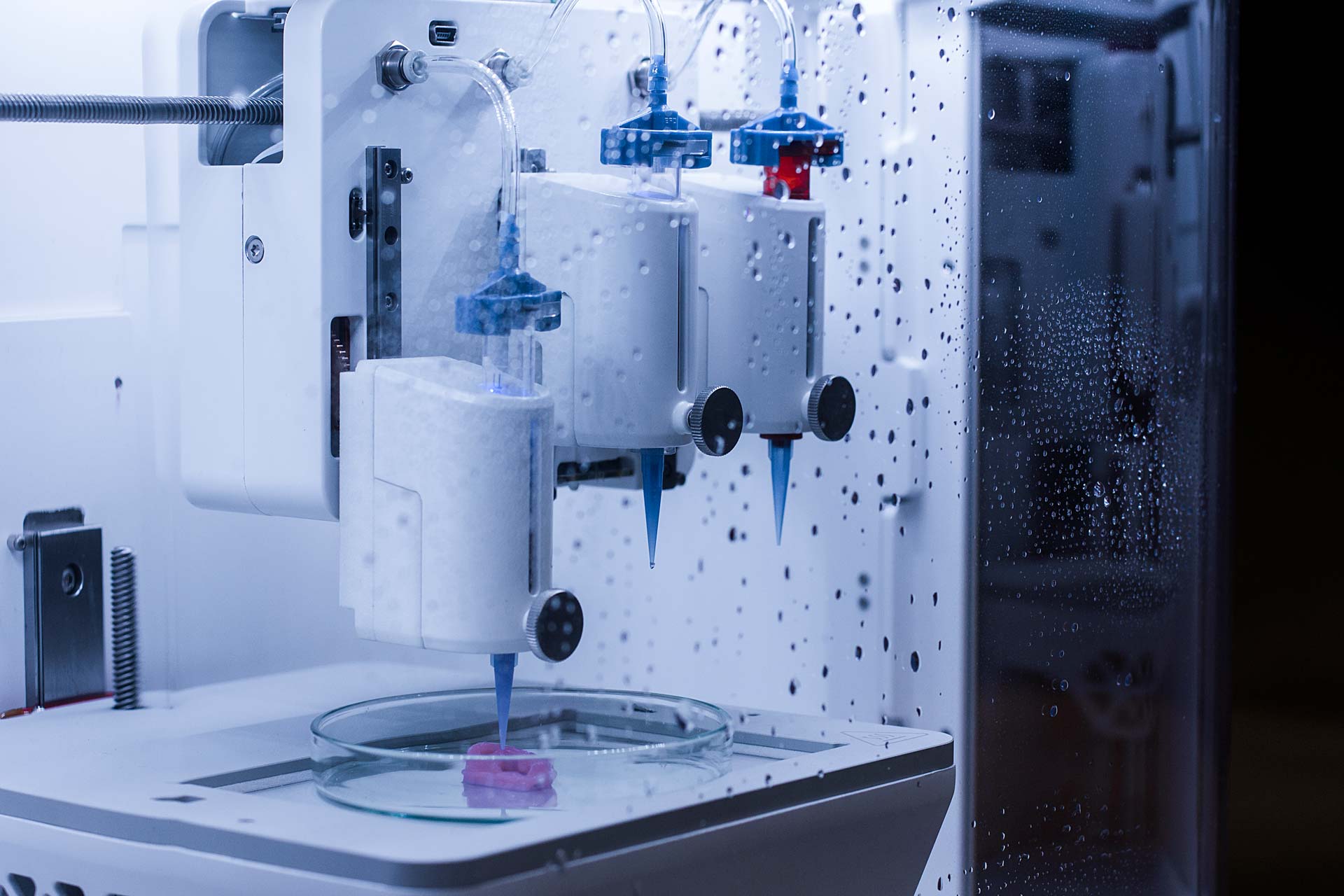 Bioprinting History Quiz - CELLINK