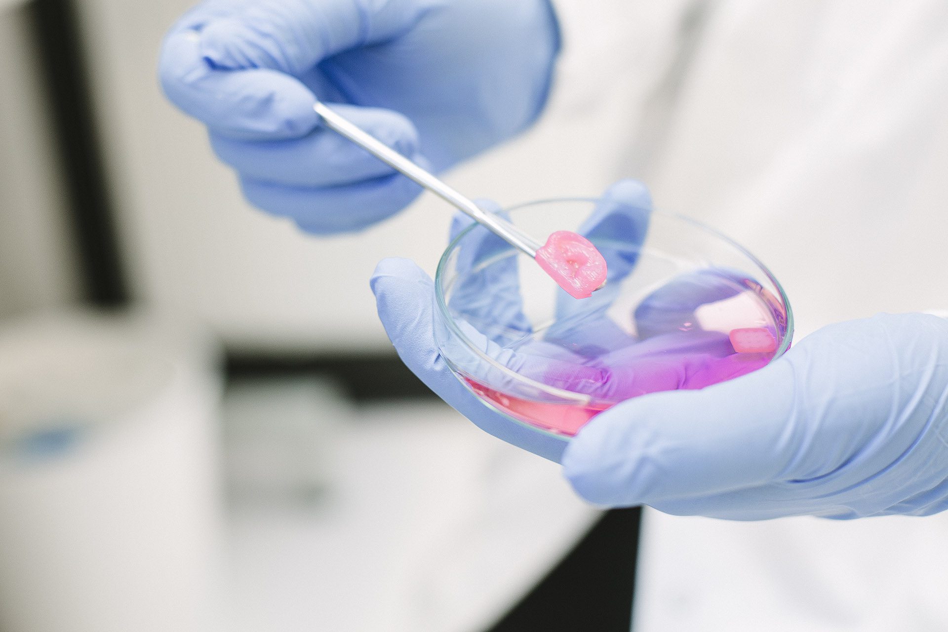 Webinar: Natural Polymers of Bacterial Origin in Biomedical Applications