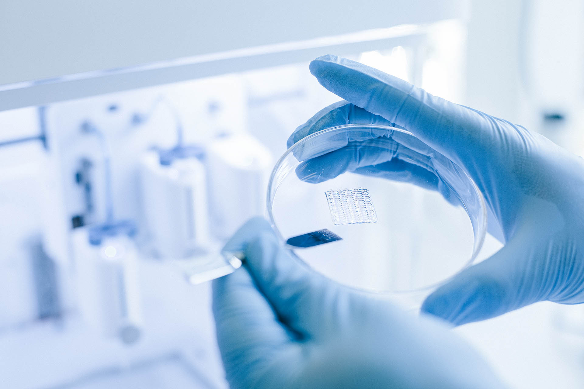 Webinar: 3D Bioprinting Skin Tissue Models - CELLINK