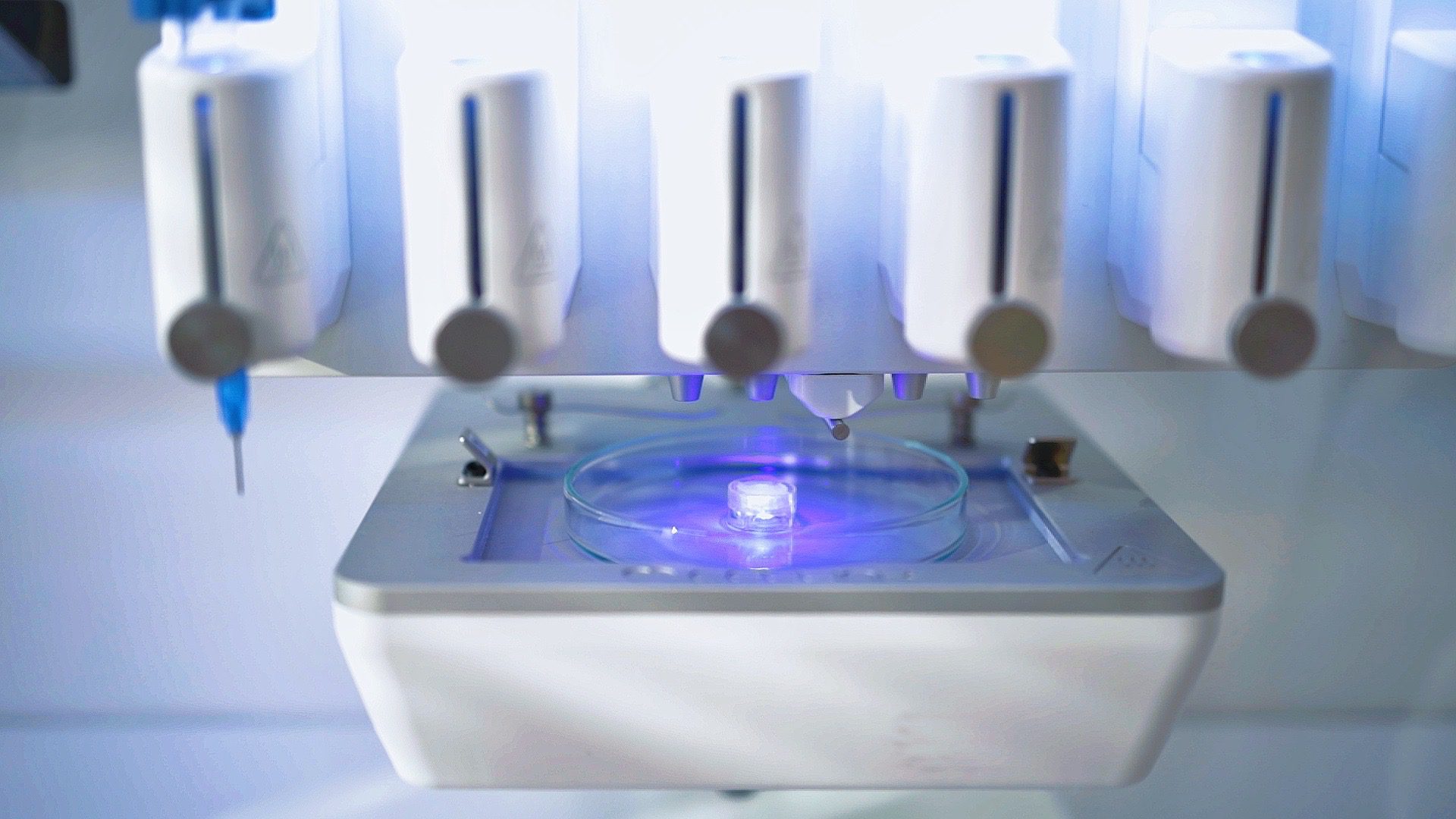 Bioprinting Bioreactors with DLP and Extrusion Bioprinters - CELLINK