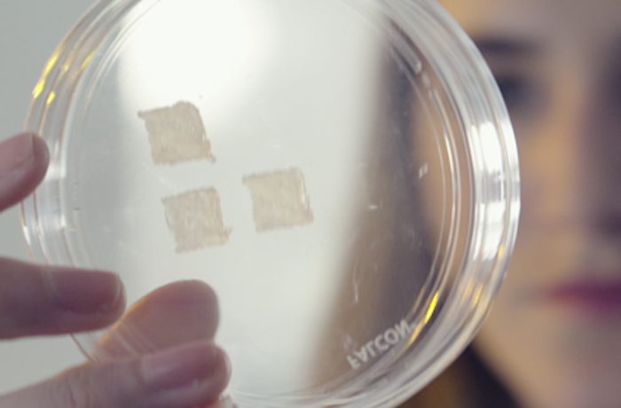 Webinar: 3D Bioprinting Pipeline of a Full Thickness Human Skin Model