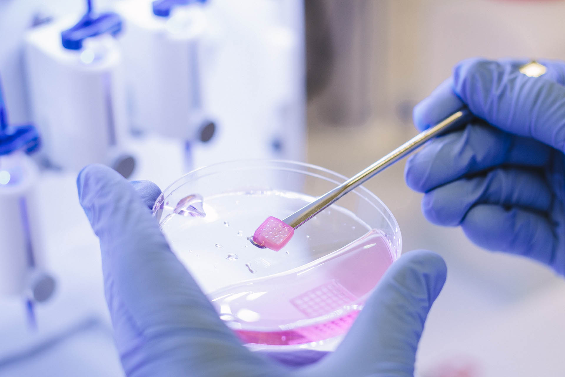 Webinar: 3D Bioprinting and Precision Medicine - CELLINK