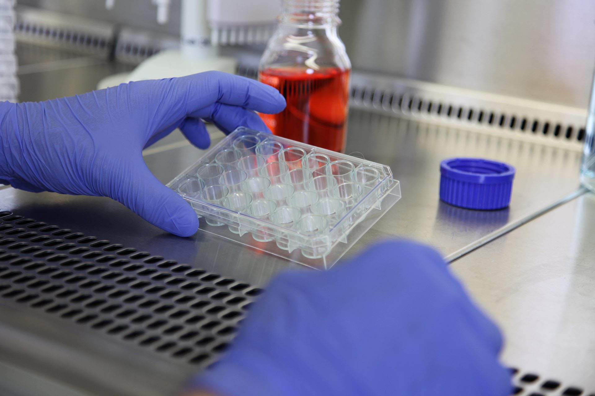 Webinar: Spheroids Are Becoming the Most Important 3D Cell Culture Tool