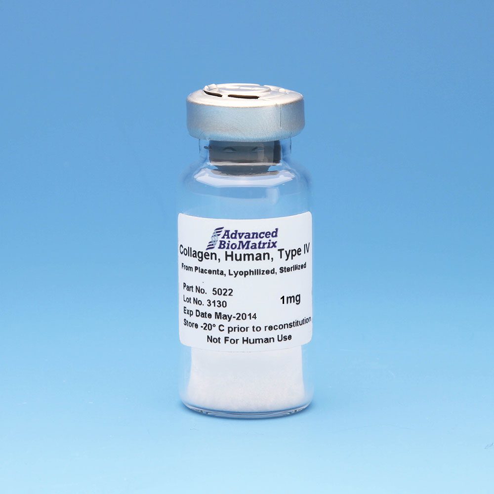 Human Type IV Collagen, Lyophilized, 5 mg - CELLINK Human Type IV Collagen, Lyophilized, 5 mg - CELLINK