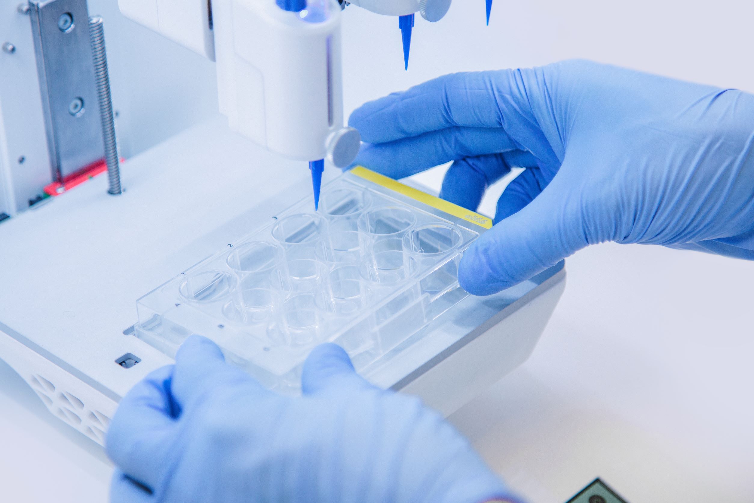 3d Bioprinting For Colorectal Cancer Modeling Webinar Cellink