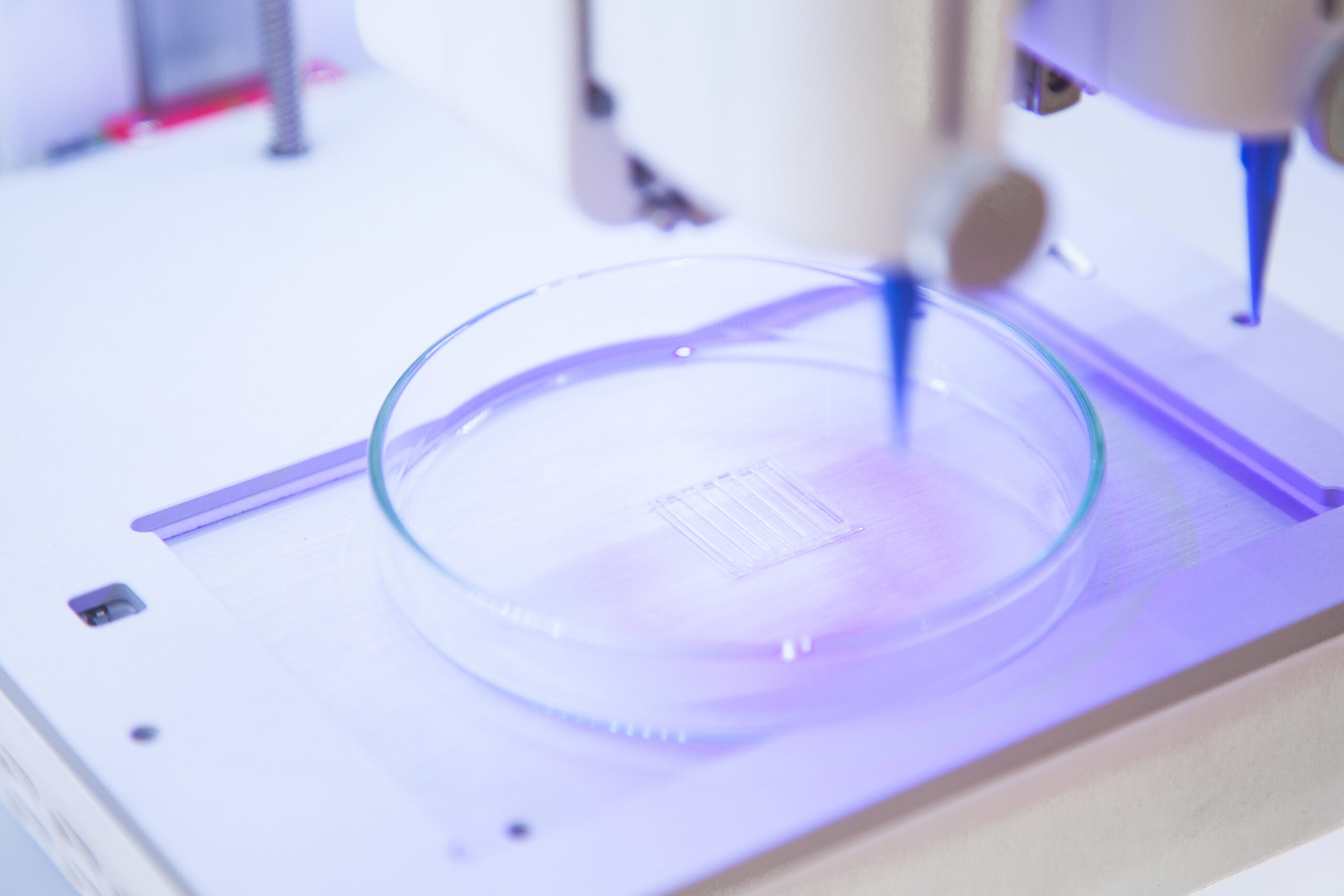 Introduction To 3d Bioprinting Applications In Designing Supporting