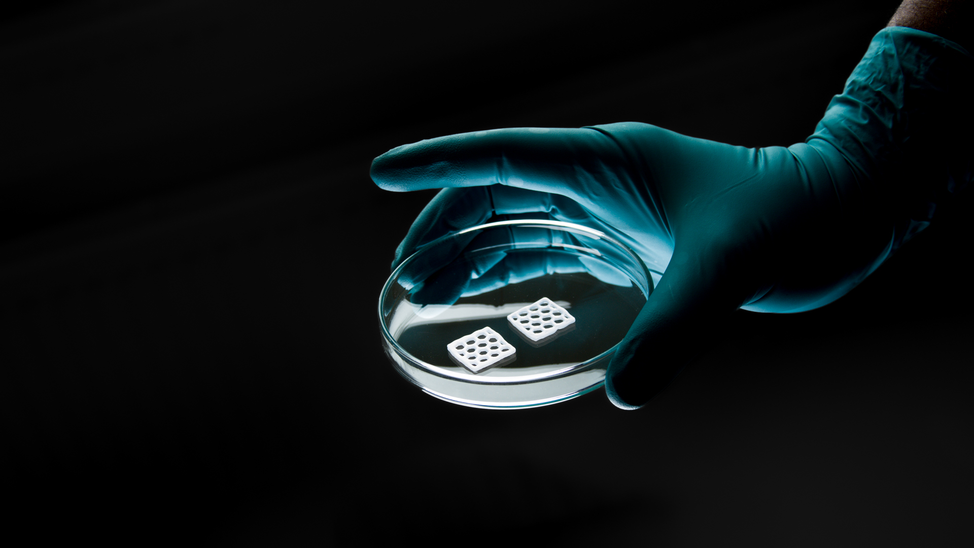 Bioprinting of Xeno-free Organ Models - CELLINK