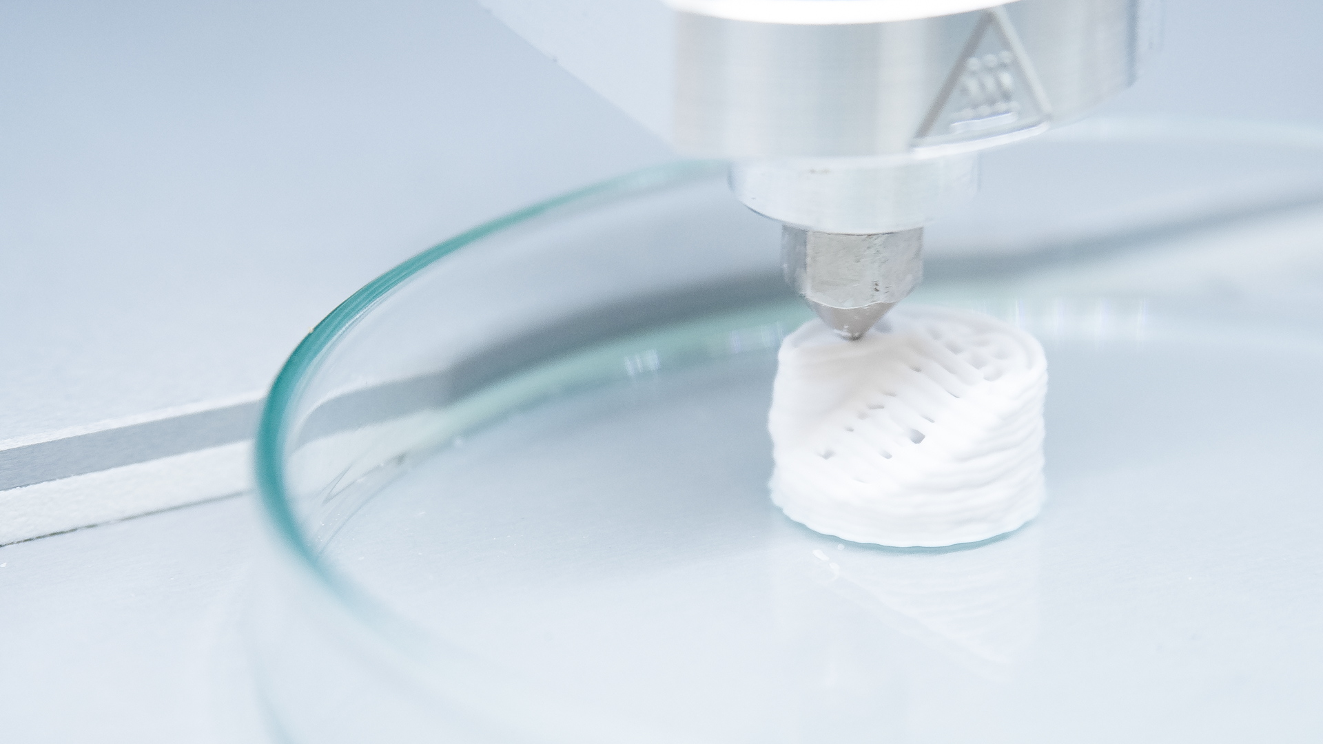 Printing resorbable bone implants suitable for in vitro studies